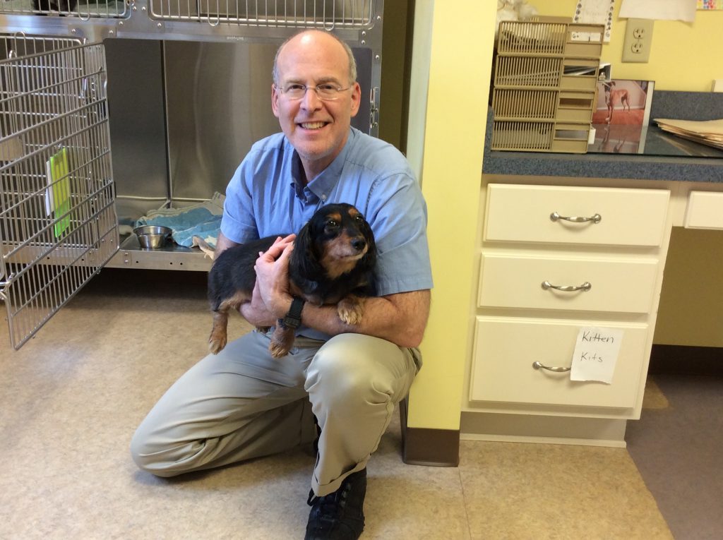 Catoctin Veterinary Clinic – Caring Vets For Your Family Pets